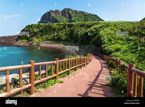 Pathway Leading To Beach With View Over Ocean And And Volcano Crater