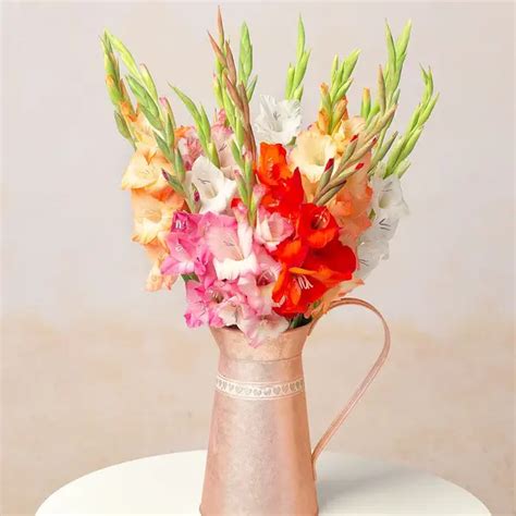 انواع گل لیلیوم و شرایط کاشت، پرورش و نگهداری در گلدان خرید گل آنلاین گندم Vip