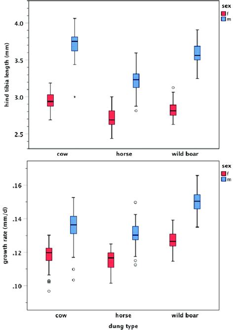 Box Plots For Hind Tibia Length Top And Linearized Growth Rate Tibia Download Scientific