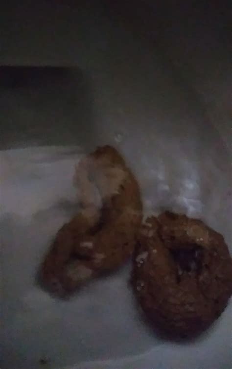 Brown Fecal Matter Pieces Iii Part I