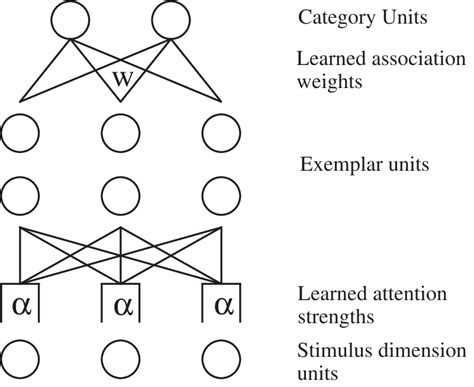 Alcove Definition In Science At Conrad Williams Blog