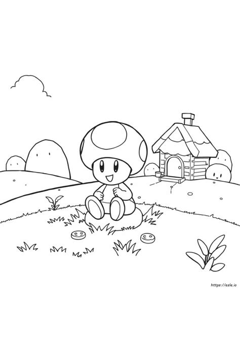 Toad Coloring Pages From Super Mario