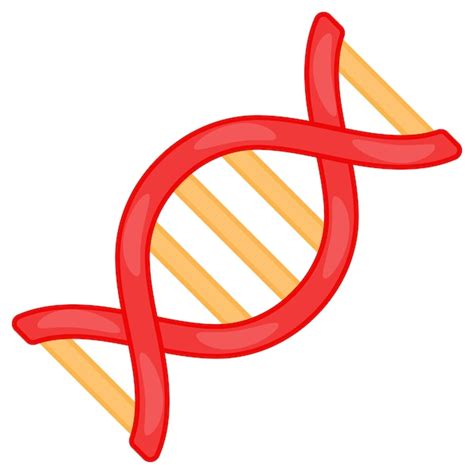 Premium Vector Gene Vector Design Organ System Human Anatomy Human