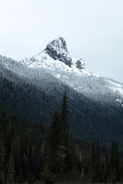 By Patrick Hendry Tumbex