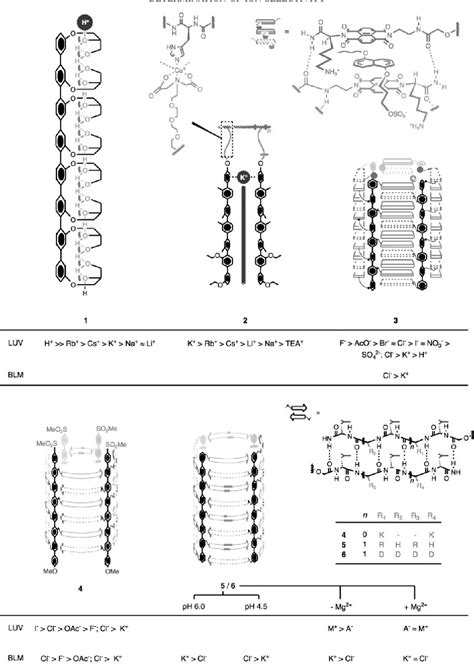 Figure 1 From The Determination Of The Ion Selectivity Of Synthetic Ion