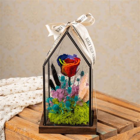 Persevered Rose Rainbow Delight Black Tulip Flowers