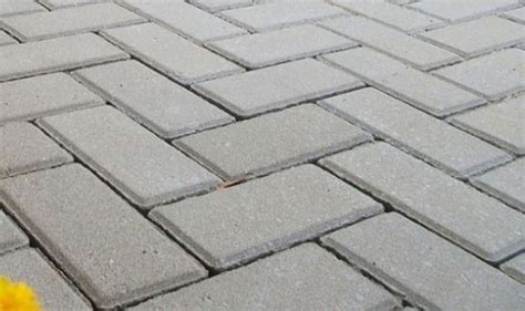 Lajota Em Concreto Para Calçada Ciment Pav