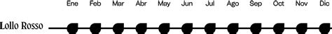 Lollo Rosso Agrosabas