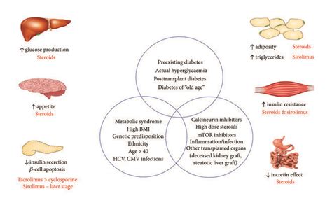 Risk Factors And Pathogenesis Of Ptdm After Heart Transplantation