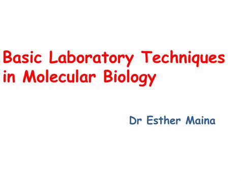 Basic Molecular Biology Techniques Ppt