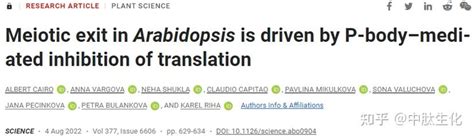 Science：揭示植物减数分裂期间对植物基因表达进行重编程的新机制 知乎