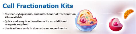 Cell Fractionation Kits Tokyo Chemical Industry Co Ltd