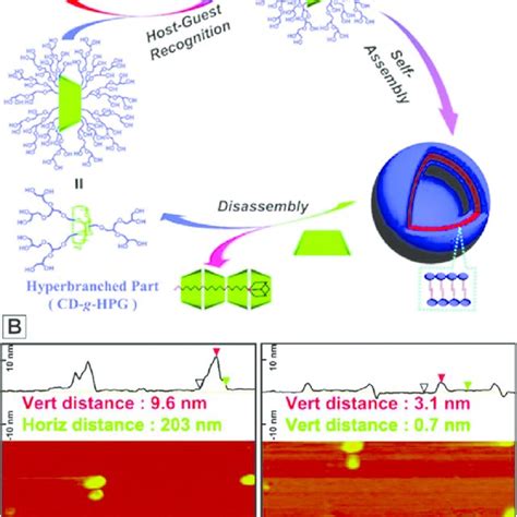 A Preparation Self Assembly And Disassembly Processes Of Slhas B Download Scientific