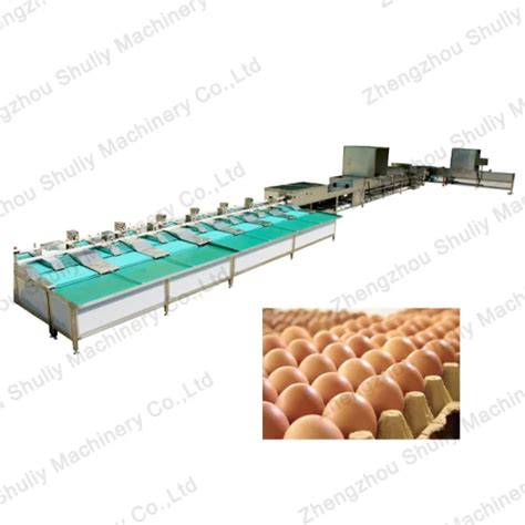 Commercial Egg Grading Machine Egg Cleaning Machine Egg Grading