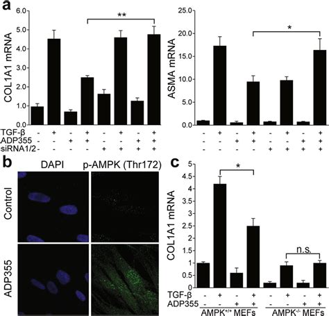 The Anti Fibrotic Effects Of ADP355 Are Mediated By Adiponectin