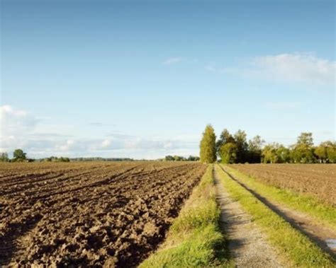 Conservation Tillage Practices The Plant Bible