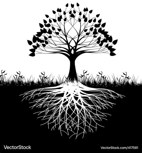 Tree Roots Silhouette Royalty Free Vector Image