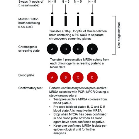 General Characteristics Of The Stratified Sampling Approach Download