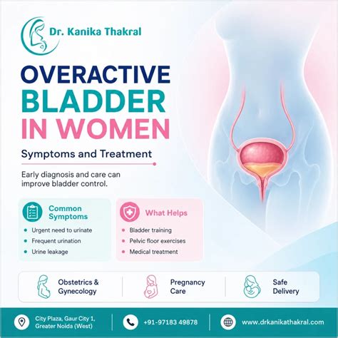 Overactive Bladder In Women Symptoms And Treatment