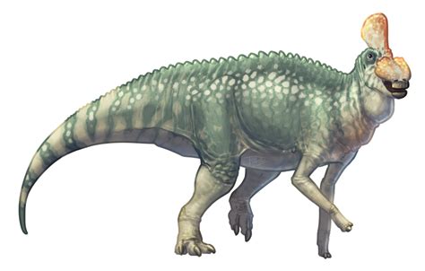 Life After Dinosaurs Kritosaurus