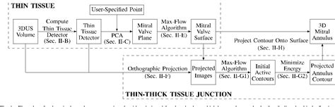 Figure 1 From Mitral Annulus Segmentation From 3d Ultrasound Using Graph Cuts Semantic Scholar