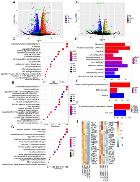 Functional Enrichment Analysis Of Rna Seq Degs Ab The Volcano Maps Download Scientific
