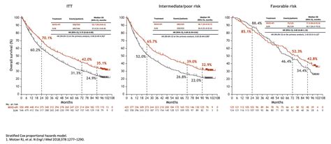 Checkmate 9er And Checkmate 214 Updates Show Continued Benefits With Combination Regimens Over