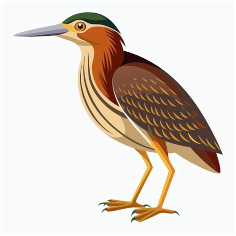 Vector Bittern Premium Ai Generated Vector