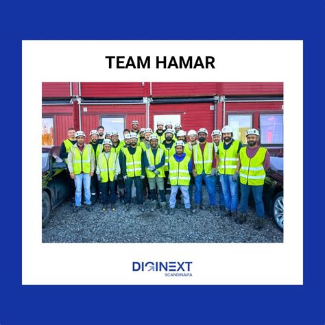 Jeewantha Nirmitha On Linkedin Diginextscandinavia