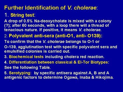 Cholera Vibrio Cholerae Dr Salma Gram Negative Curved