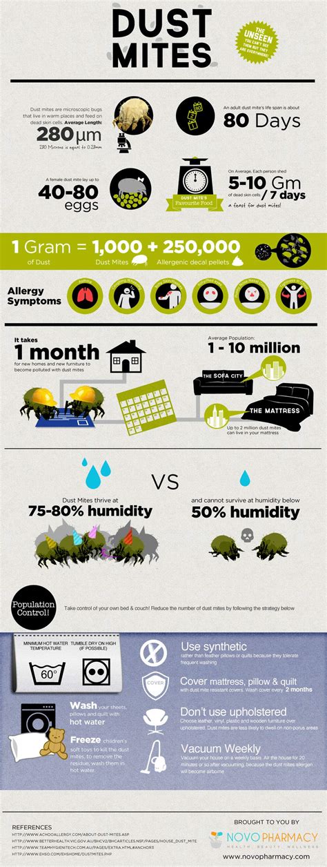 Dust Mite Protection Infographics Mania