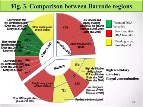 Dna Barcoding And Its Application In Species Identification Pptx