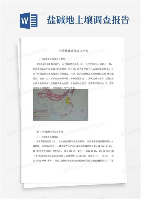 中国盐碱地现状与分布word模板下载编号qabwxdmx熊猫办公