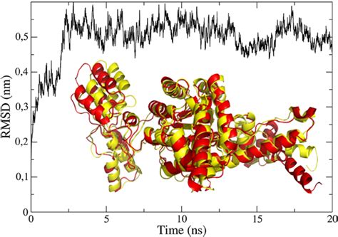 Dynamic Profile For Rmsd Obtained In Molecular Dynamic Simulations Of Download Scientific