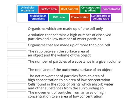 Diffusion Key Word Match Up