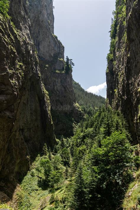 Narrow Hiking Trail Winding Through Mountain Pass With Lush Green