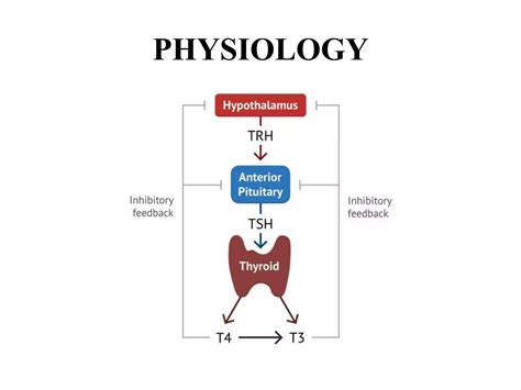 Thyroid Cytology Pptx Pptx