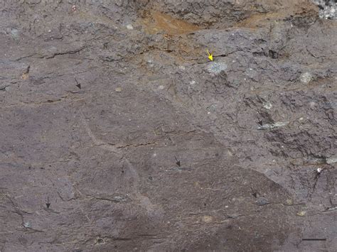 Ignimbrites In Outcrop And Thin Section Geological Digressions