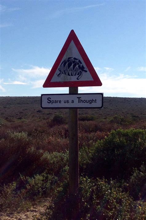 Tbg Project Deborah M Leigh And Team Loewe Centre For Translational