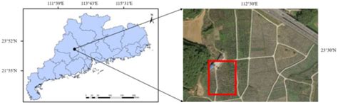 Remote Sensing Special Issue Vegetation Biophysical Variables And