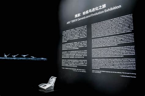 始祖鸟溯源：始祖鸟进化之旅 Ucca尤伦斯当代艺术中心