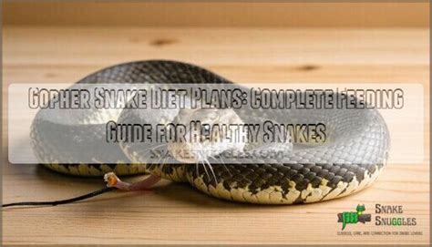 Gopher Snake Diet Plans Complete Feeding Guide For Healthy Snakes