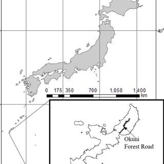 Map Showing The Location Of Okinawa Island And Okuni Forest Road Download Scientific Diagram