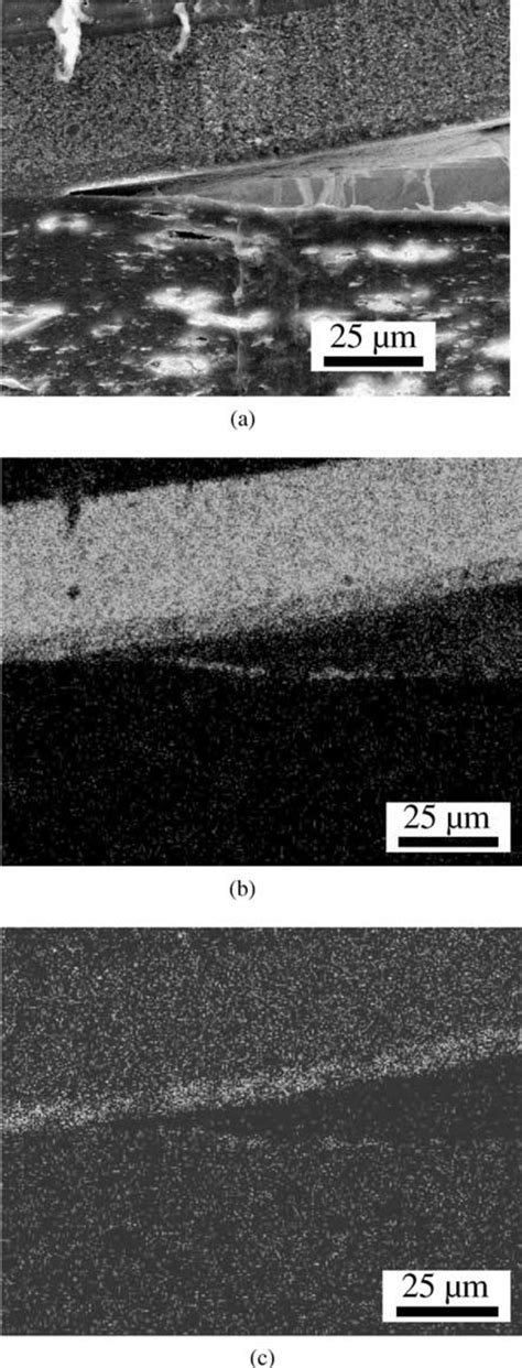 Delamination Occurs Near The Adhesion Promoter And Substrate Interface Download Scientific