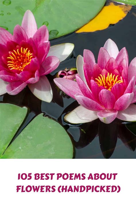 105 Best Poems About Flowers Handpicked Flower Poem Amazing