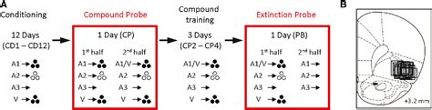 Figure 1 From Neural Estimates Of Imagined Outcomes In The