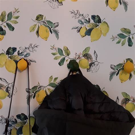 Decorative Knobs Drawer Knobs Drawer Handle Beach House Cabinet Knobs