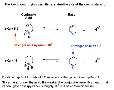 Amine Basicity Is Measued By The Pka Of Its Conjugate Acid Pkah