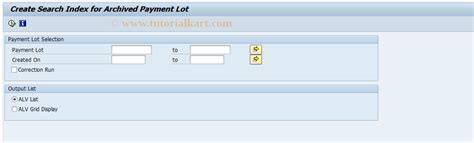 Fp05arc Sap Tcode Create Archive Index For Payment Lot