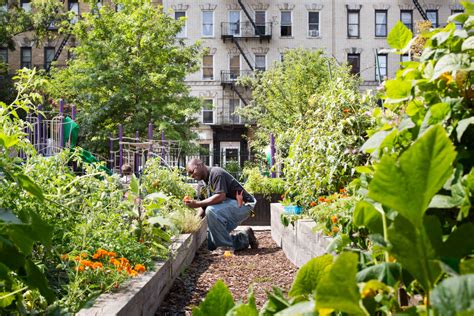 103rd Street Community Garden Scape